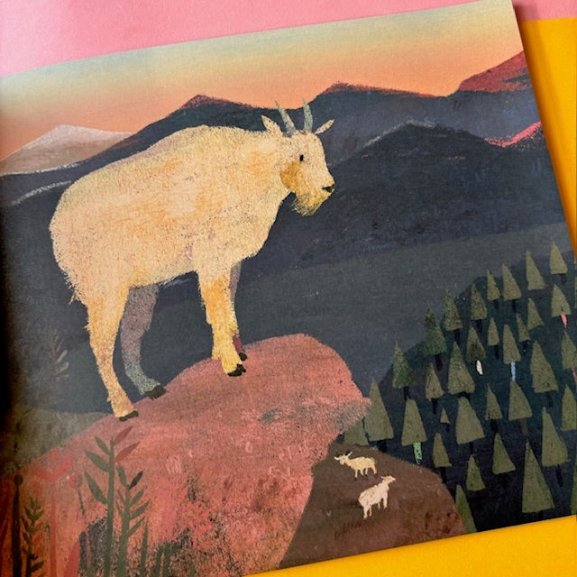 Secrets Of The Mountain – SHELF EDITIONS