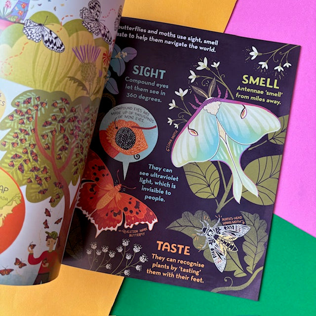 What's Inside a Caterpillar Cocoon? – SHELF EDITIONS