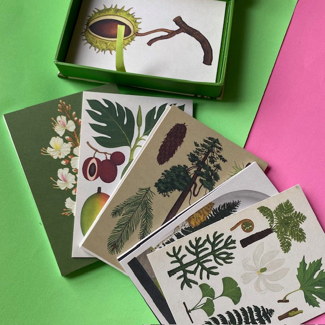 Arboretum Postcard Set – SHELF EDITIONS