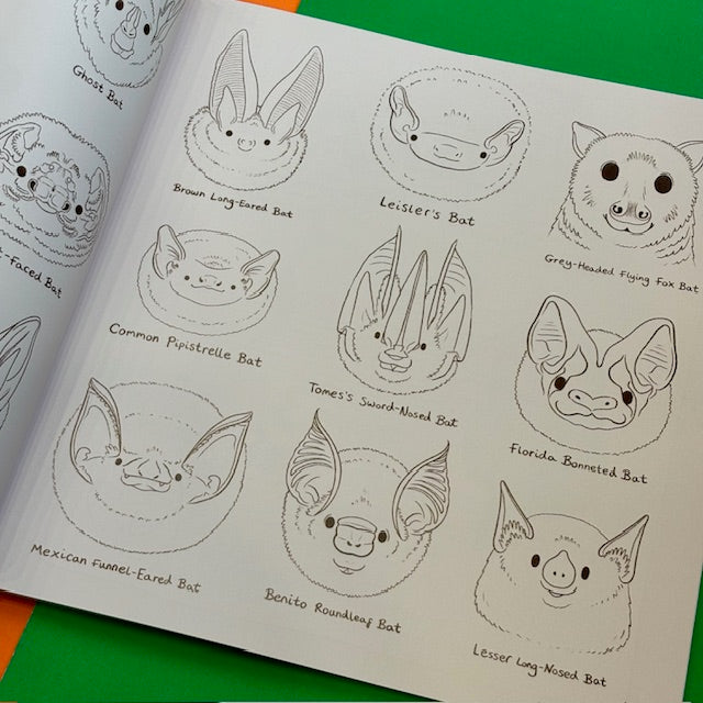 Amara And The Bats – SHELF EDITIONS