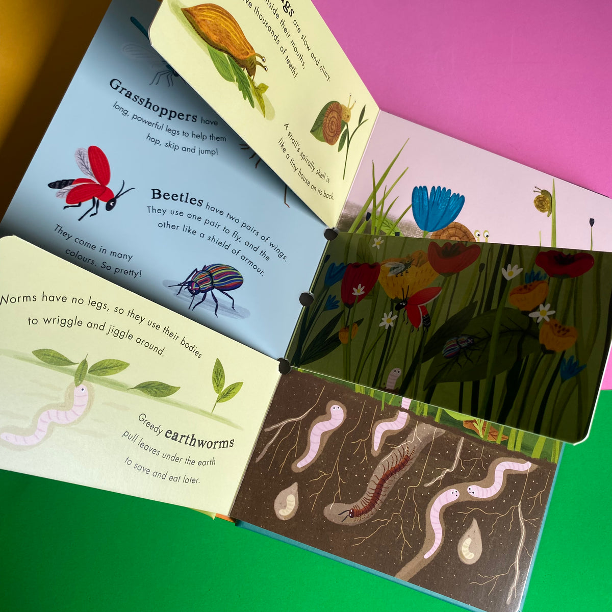 Flip Flap: Bees And Beetles – SHELF EDITIONS