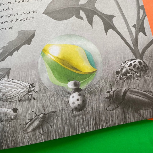 It Fell From The Sky – SHELF EDITIONS
