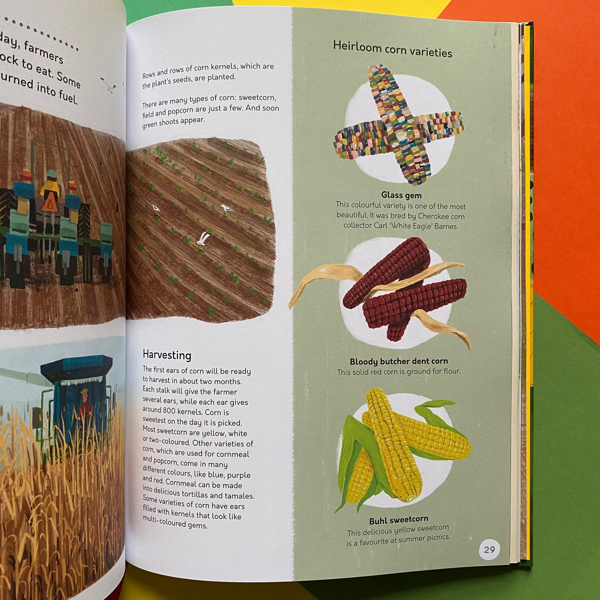 The Farm That Feeds Us – SHELF EDITIONS