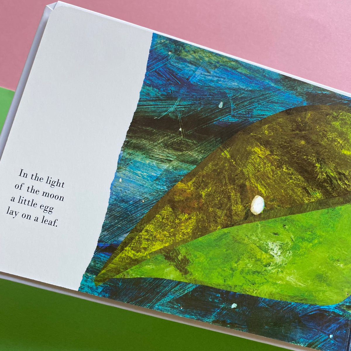 The very hungry caterpillar – SHELF EDITIONS