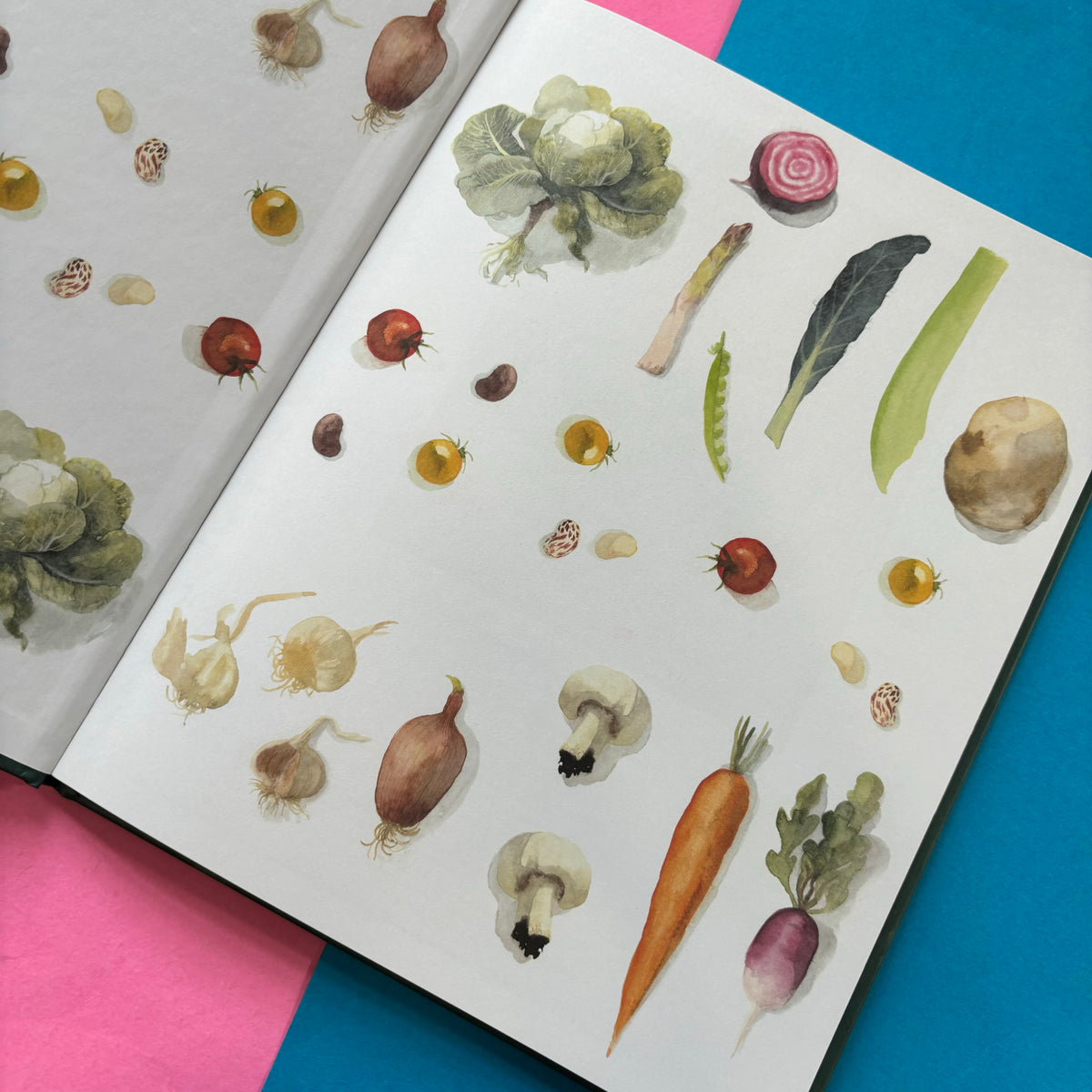 Mr Lepron's Mystery Soup – SHELF EDITIONS
