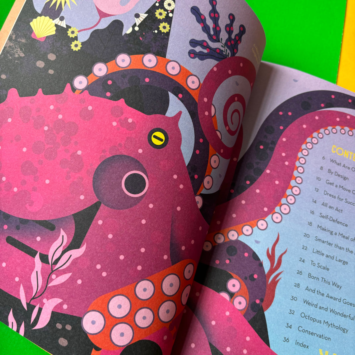 Obsessive About Octopuses – SHELF EDITIONS