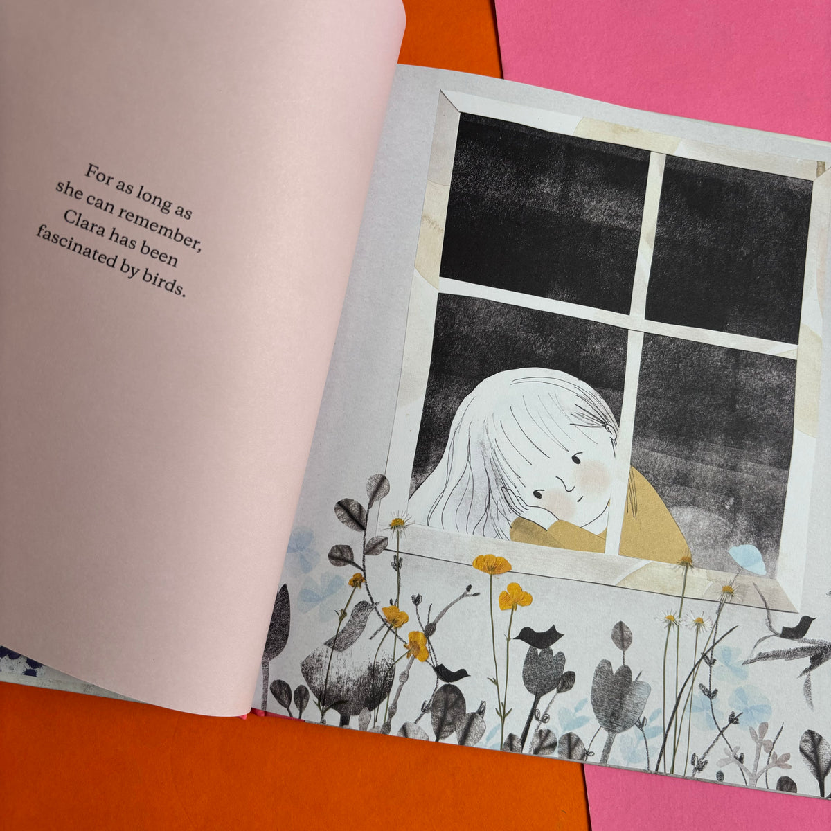 Clara And The Birds – SHELF EDITIONS