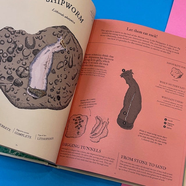 Eatopedia : An encyclopedia of how animals eat, digest and poo – SHELF ...