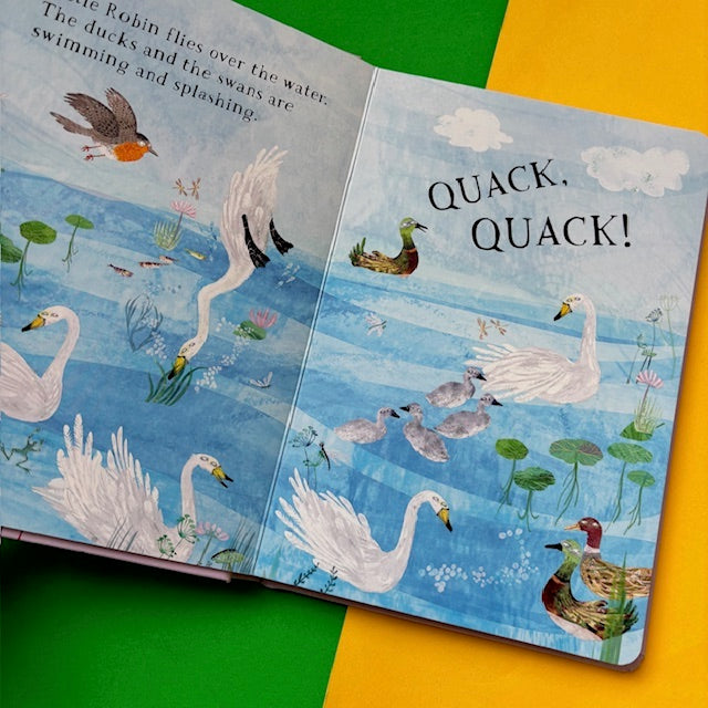 Little Robin's Book Of Birds – SHELF EDITIONS