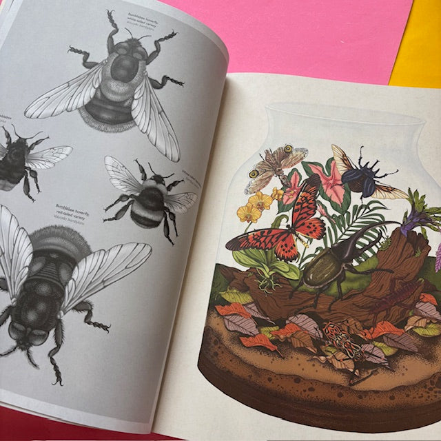 Insectarium Poster Book – SHELF EDITIONS