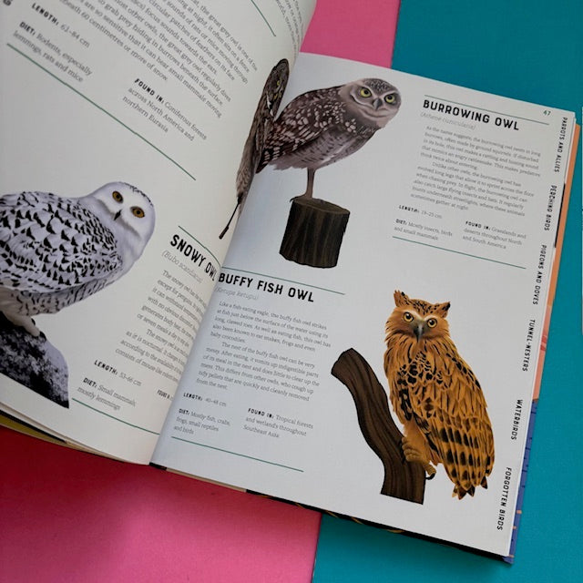 Encyclopedia of Birds – SHELF EDITIONS