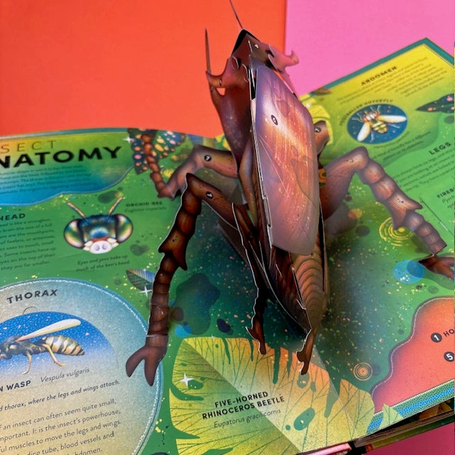 The Incredible Pop-up Bug : With 20 flaps to lift and GIANT pop-ups ...