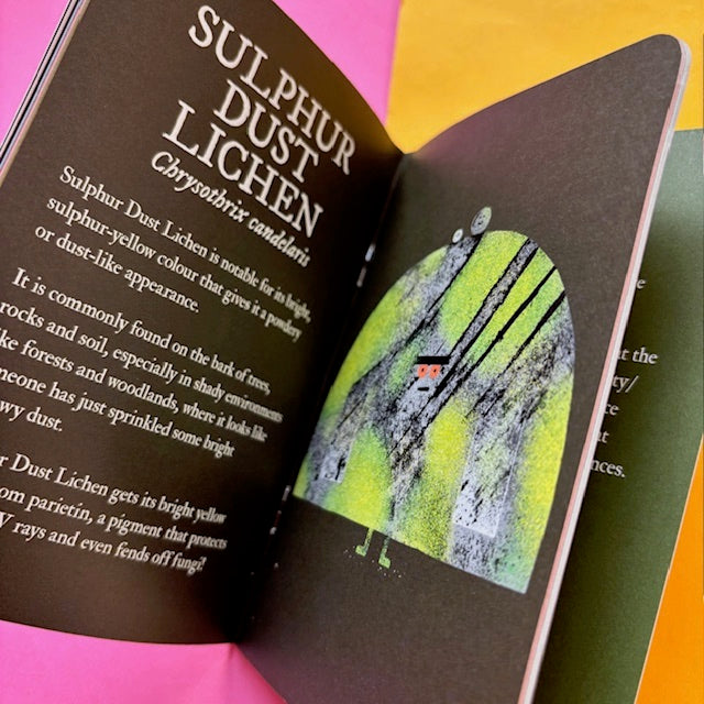 Lichen – SHELF EDITIONS