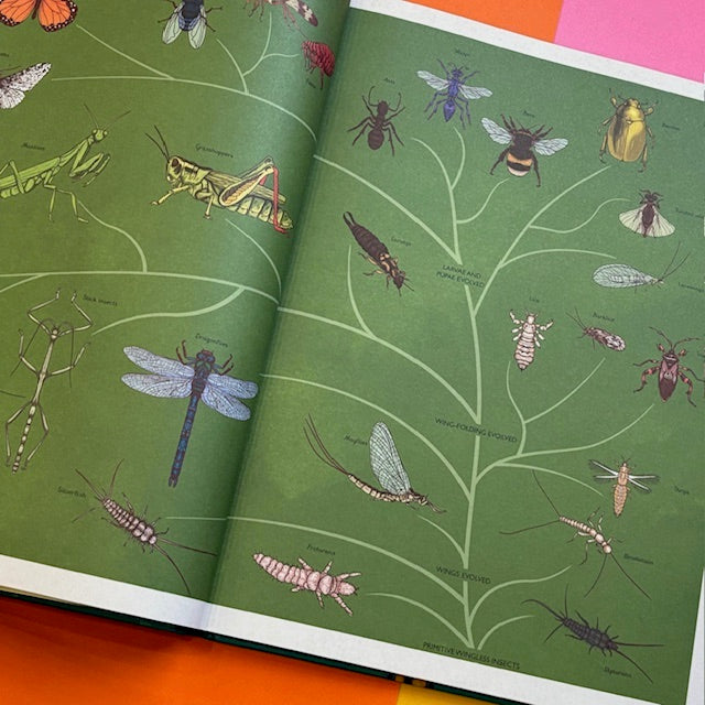 Insectarium – SHELF EDITIONS