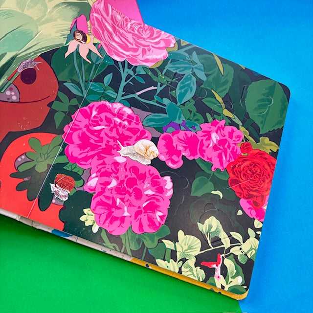 Shells... and What They Hide Inside. – SHELF EDITIONS