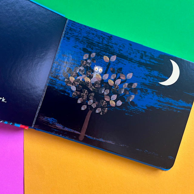 Wow! Said The Owl: A First Book Of Colours – SHELF EDITIONS