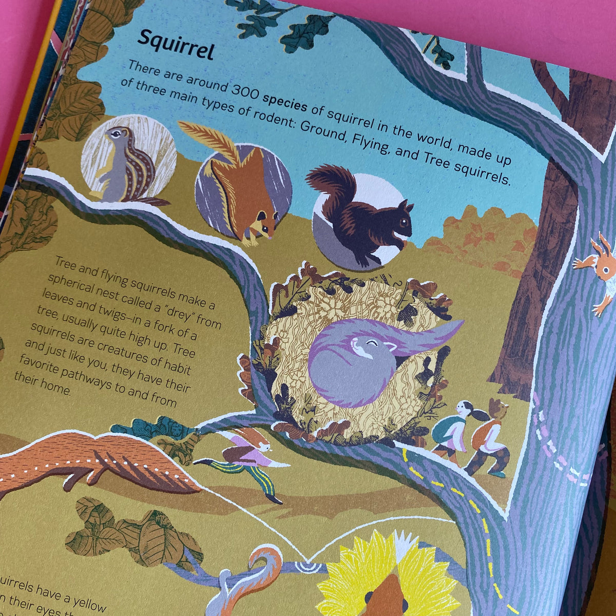 Smart Animals – SHELF EDITIONS