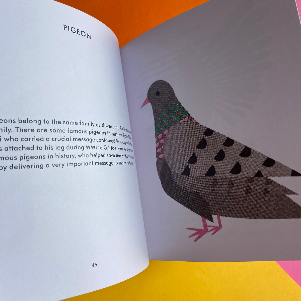 Mini Stories – SHELF EDITIONS