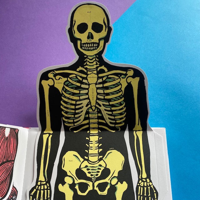 Inside The Body – SHELF EDITIONS