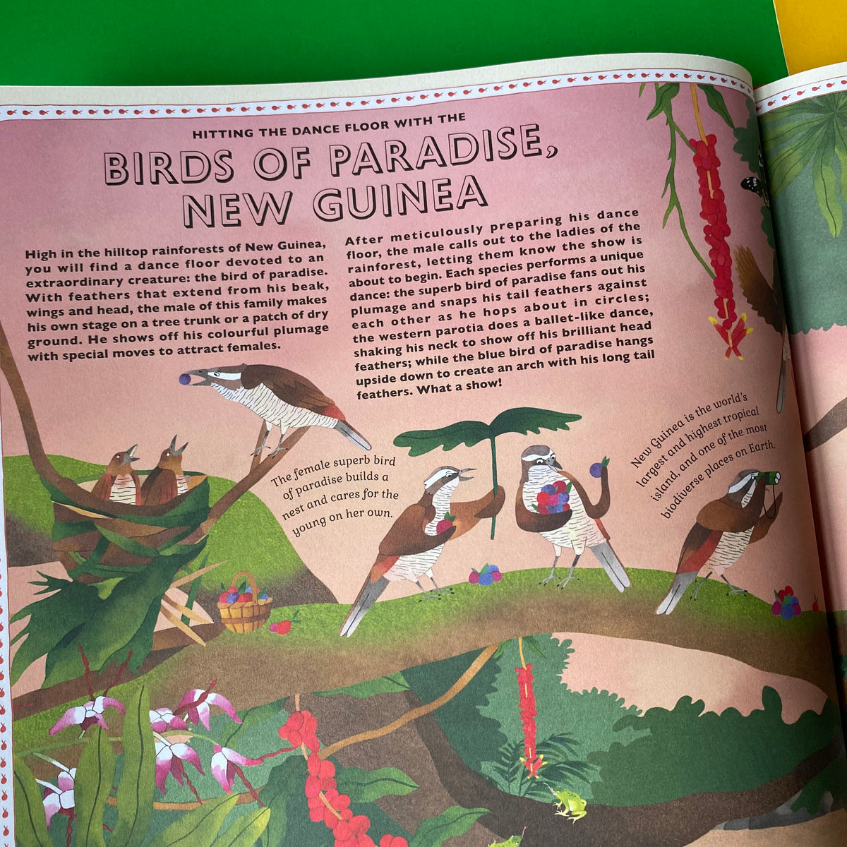 Atlas Of Animal Adventures – SHELF EDITIONS