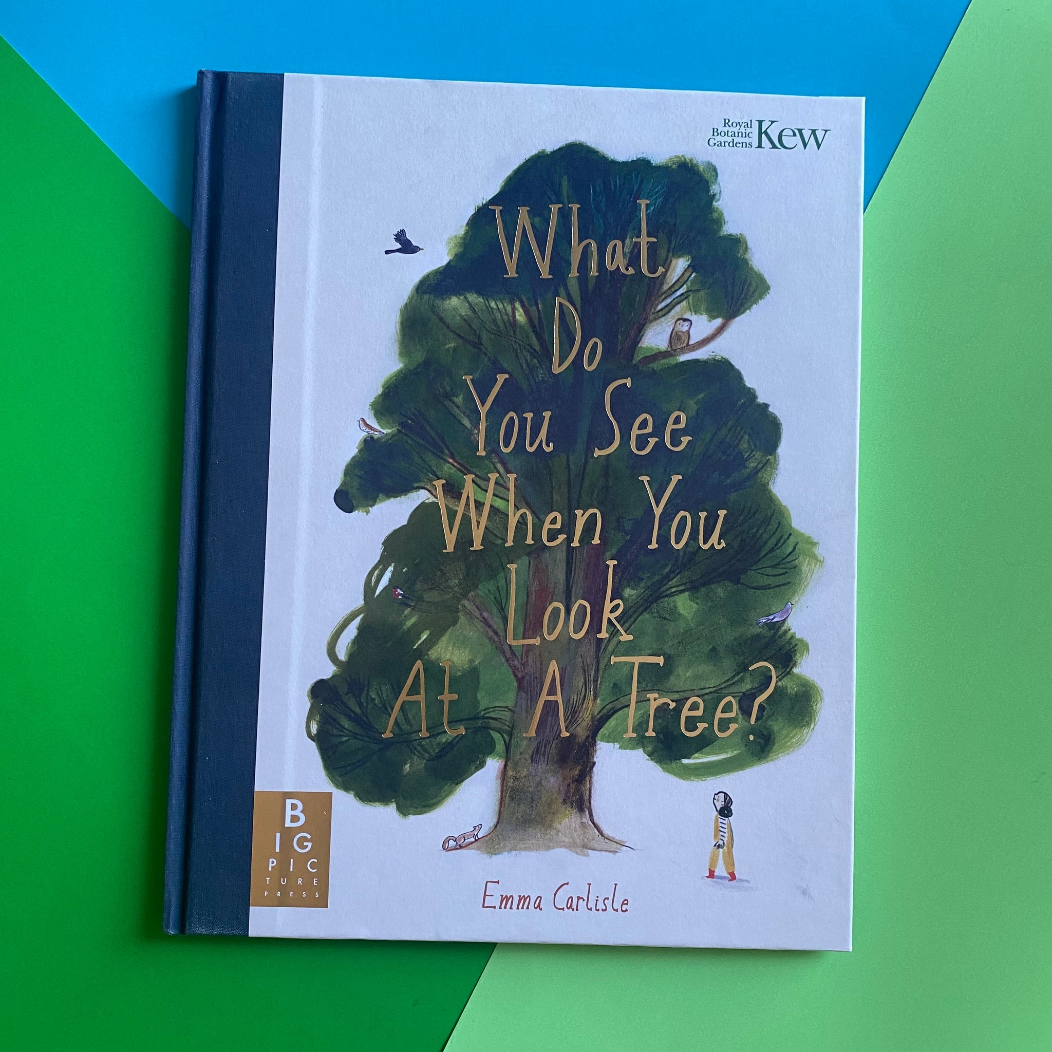 What Do You See When You Look At A Tree – SHELF EDITIONS