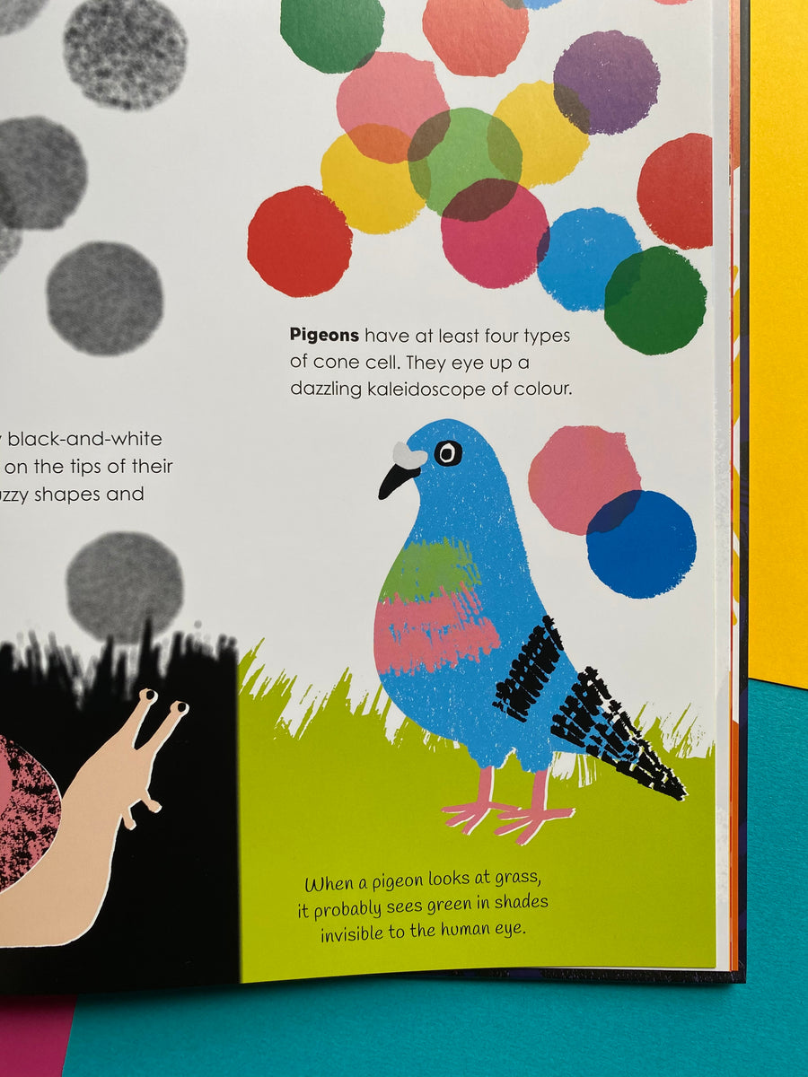 How Colour Works – SHELF EDITIONS