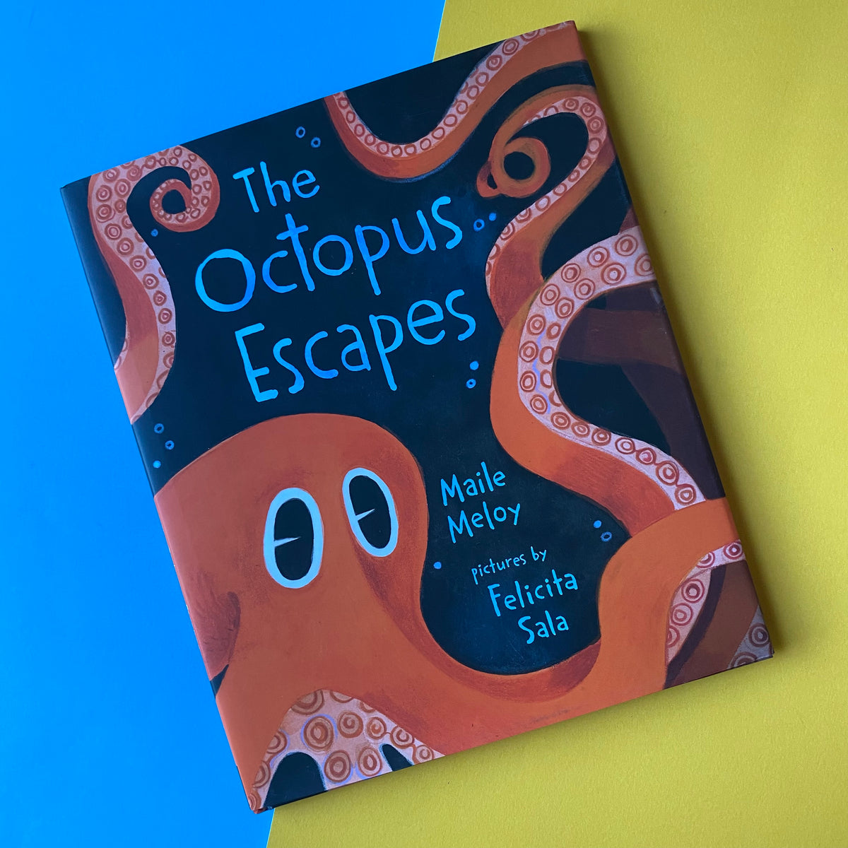 The Octopus Escapes – SHELF EDITIONS